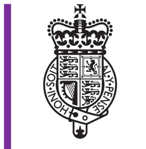 DBS_logo - 7th Epsom Scouts